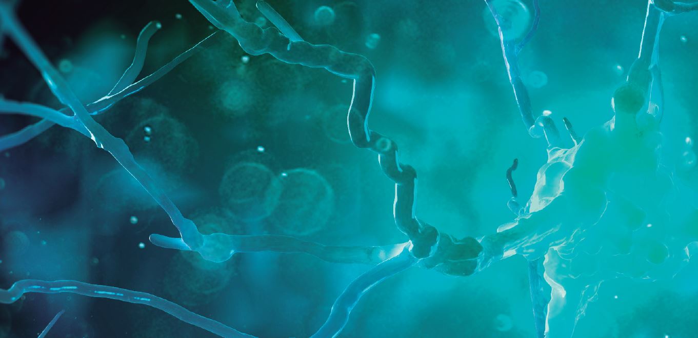 Neurobrain Vol.1 – 2020 - Neuraxpharm España